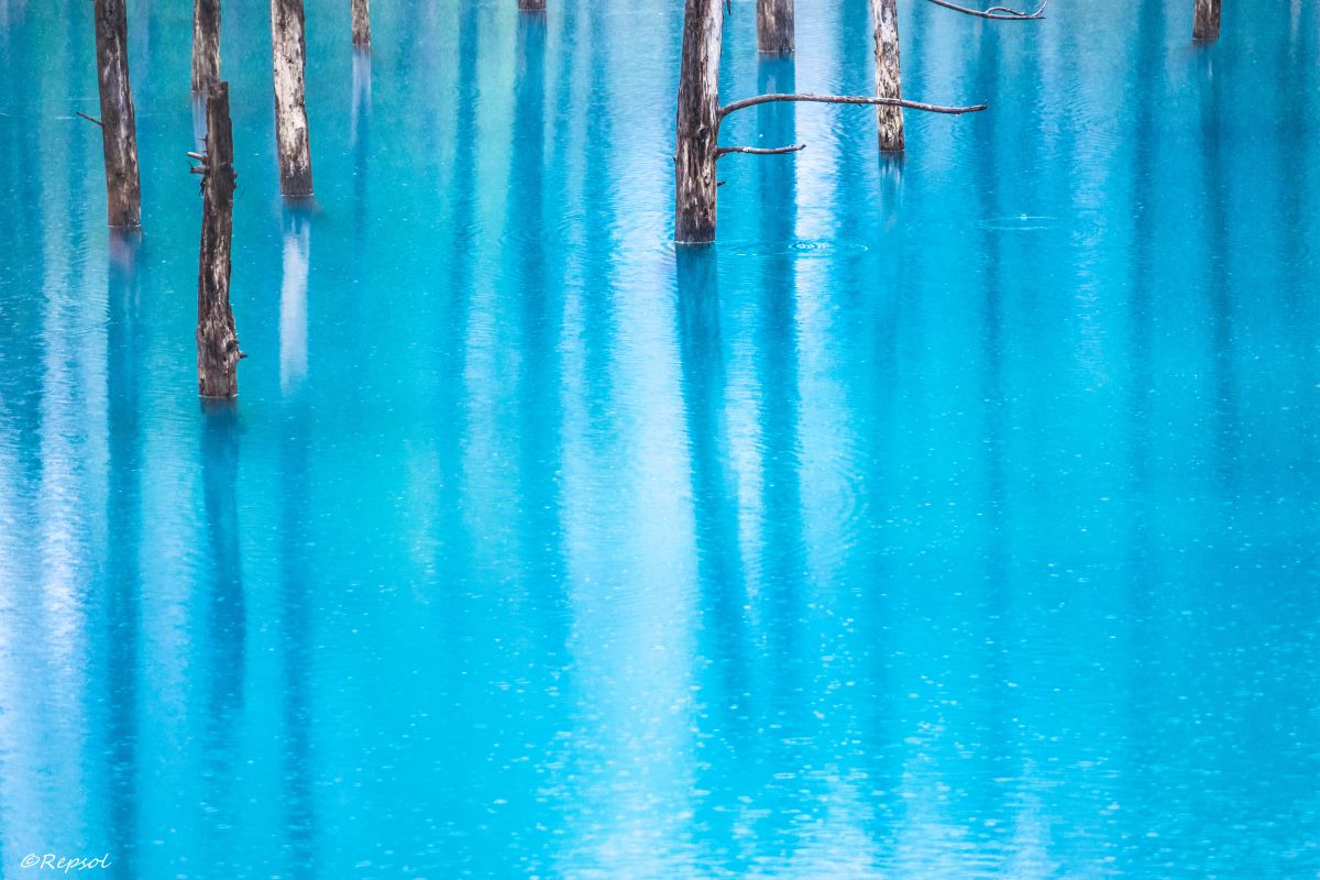 Blue Shadow | GANREF