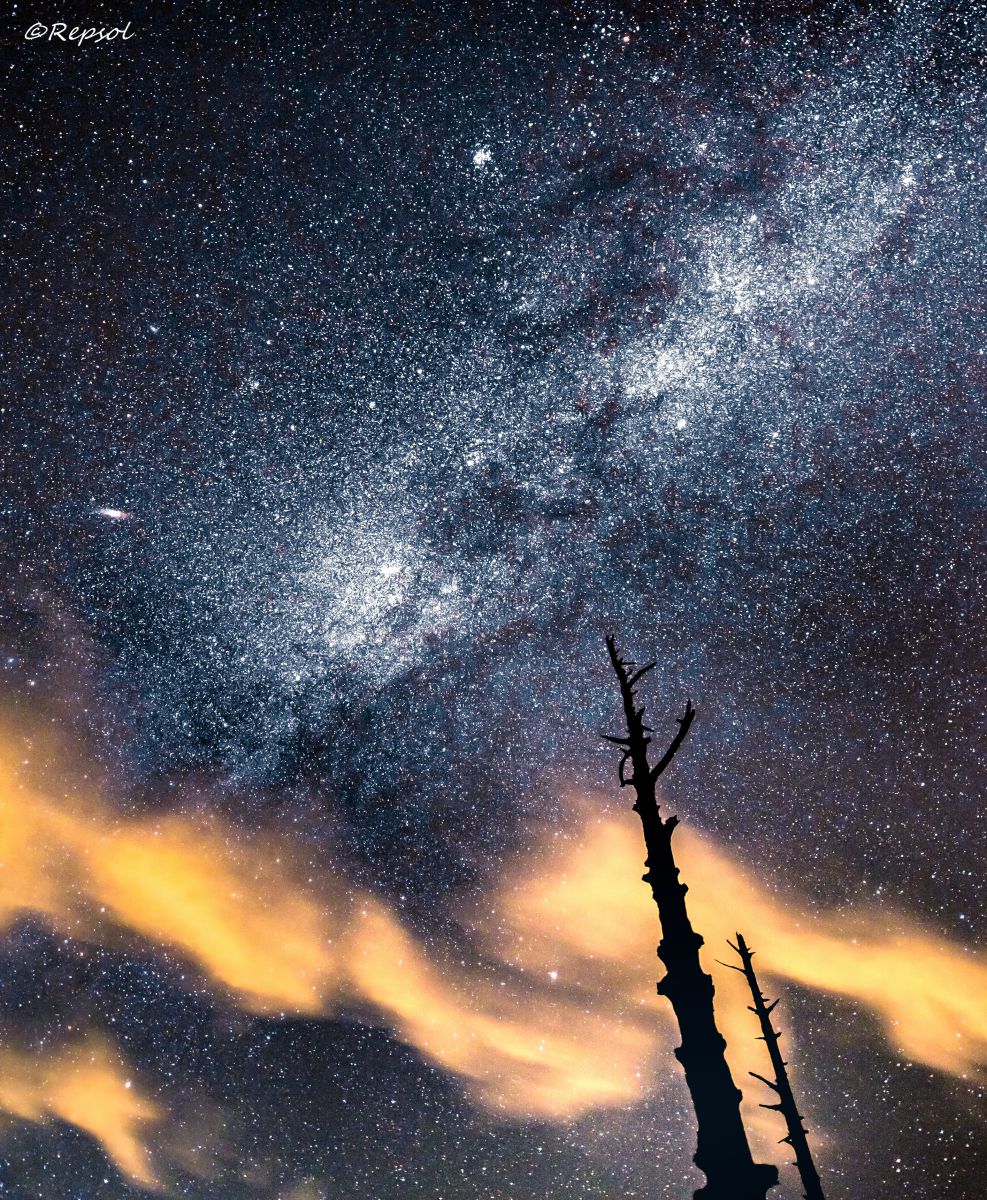 Stardust Symfony | GANREF