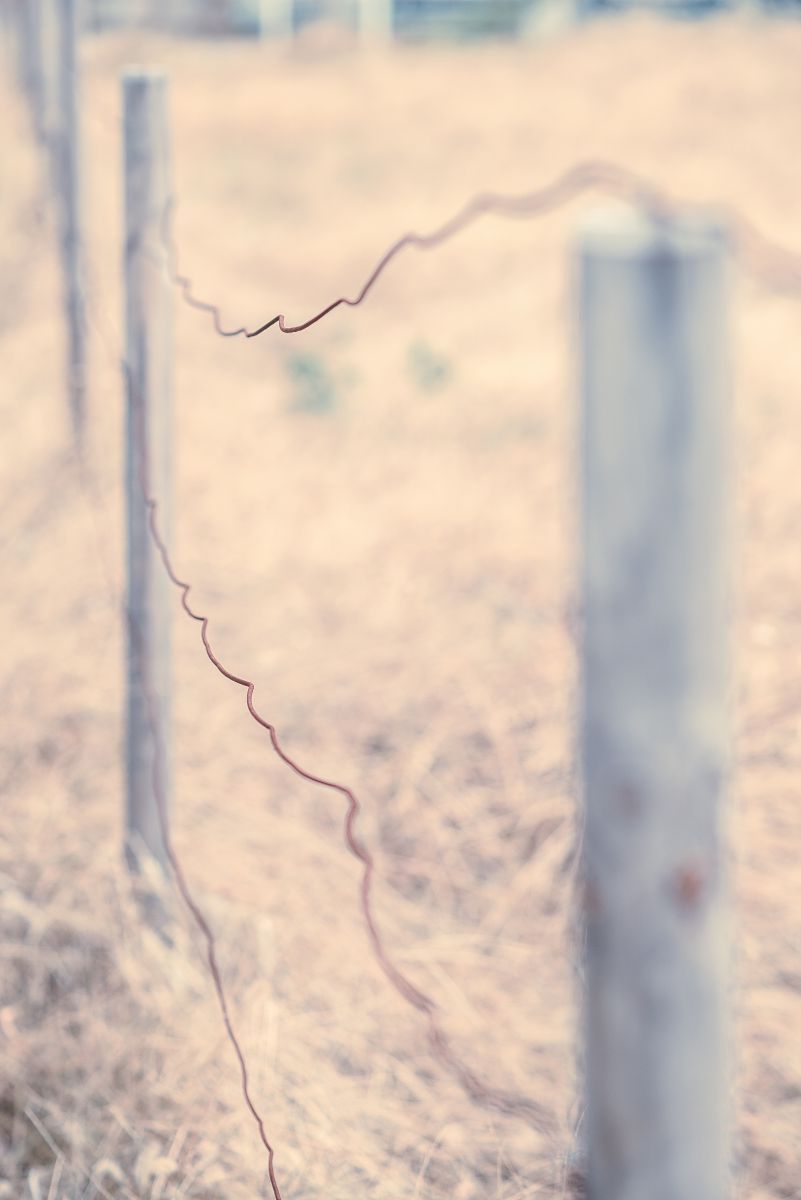 Rusted line | GANREF