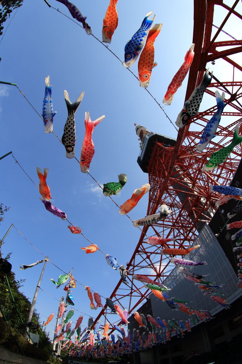 333匹の鯉のぼり | GANREF
