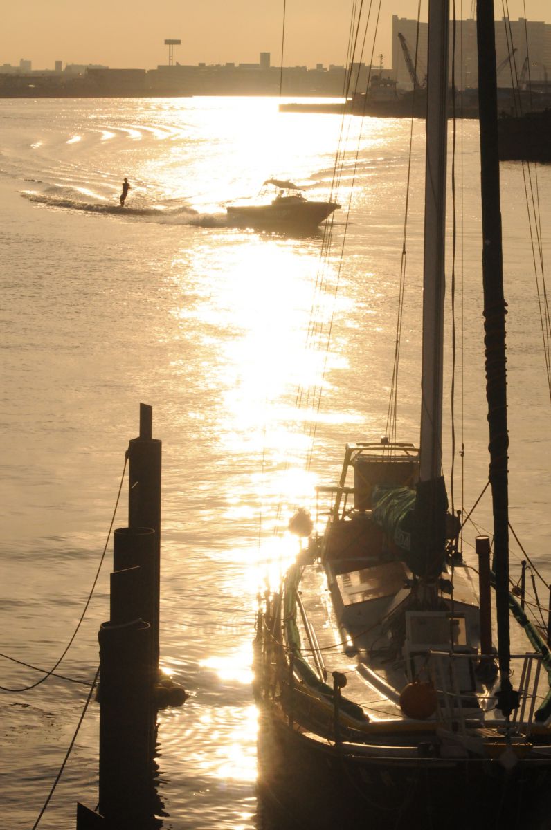 朝陽を浴びて | GANREF