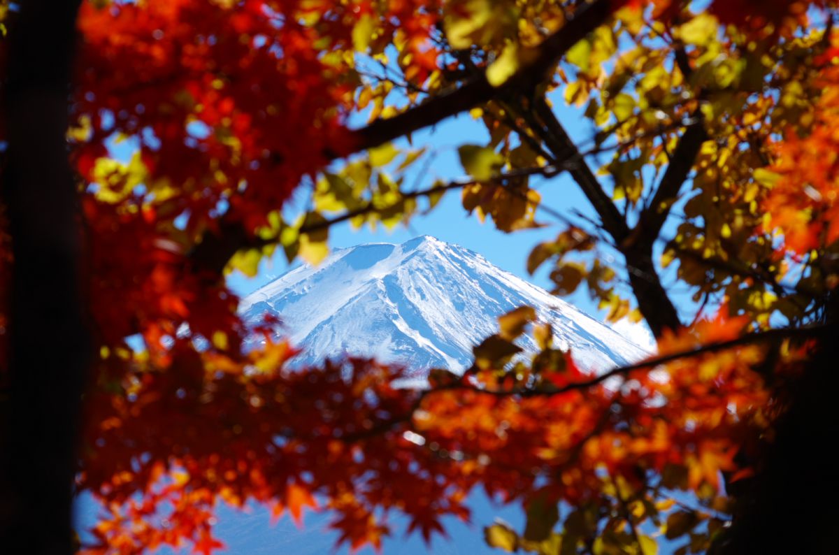 囲まれて | GANREF