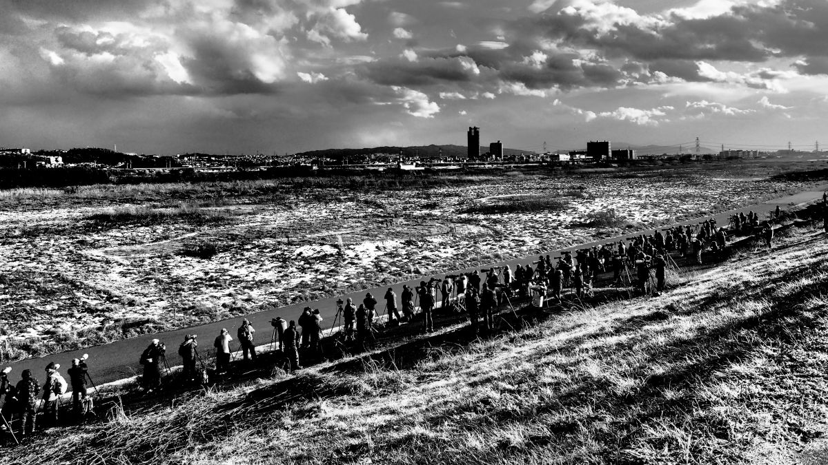 komimizuku fever. | GANREF