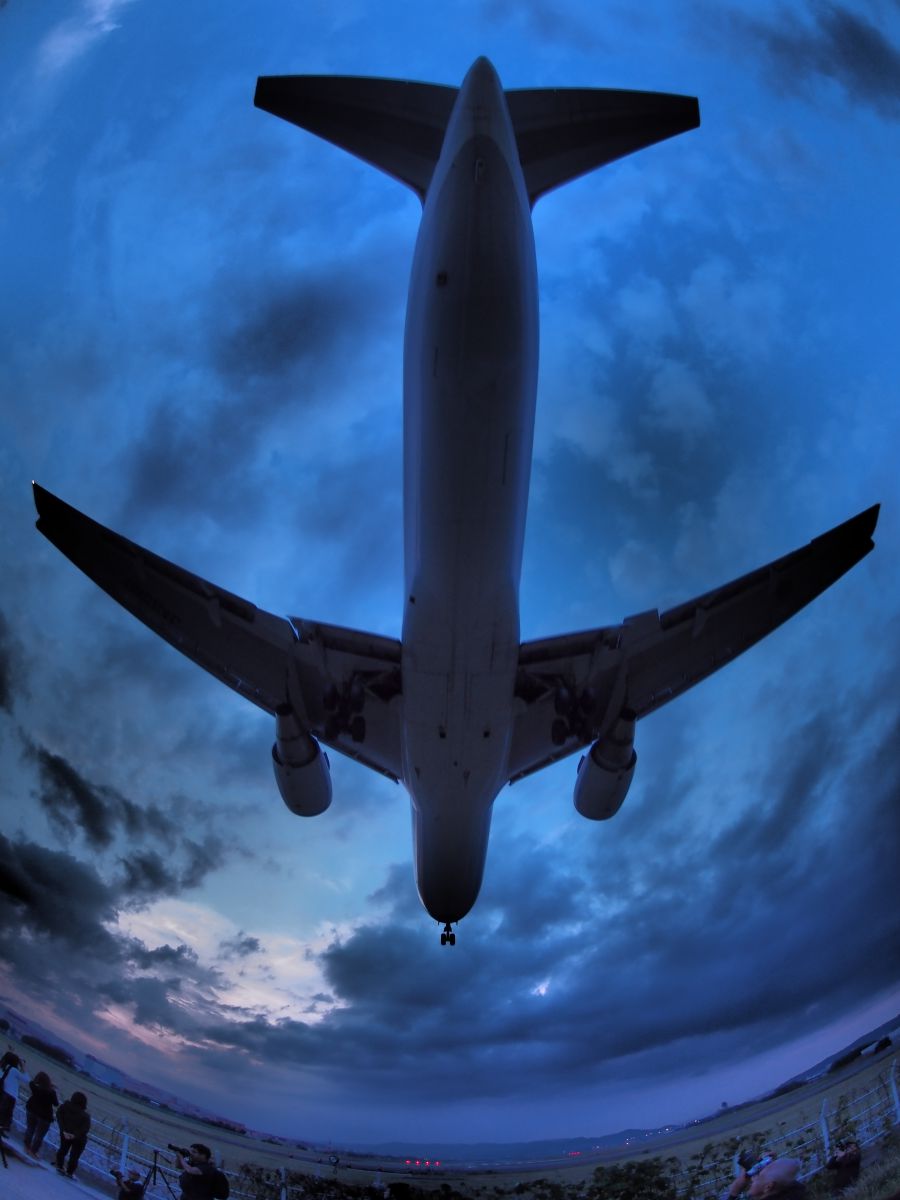 flaying fish. | GANREF