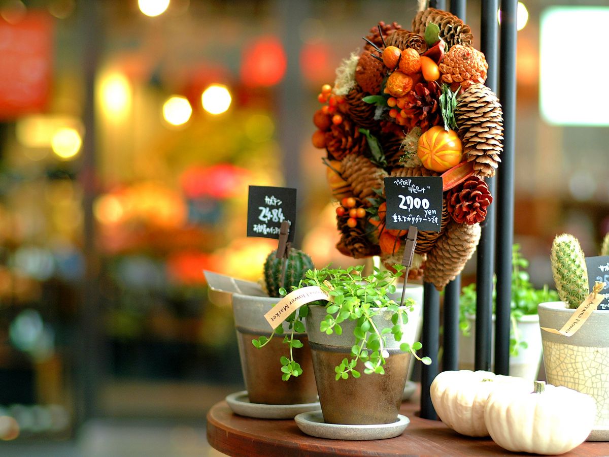 Flower Shop 02 | GANREF