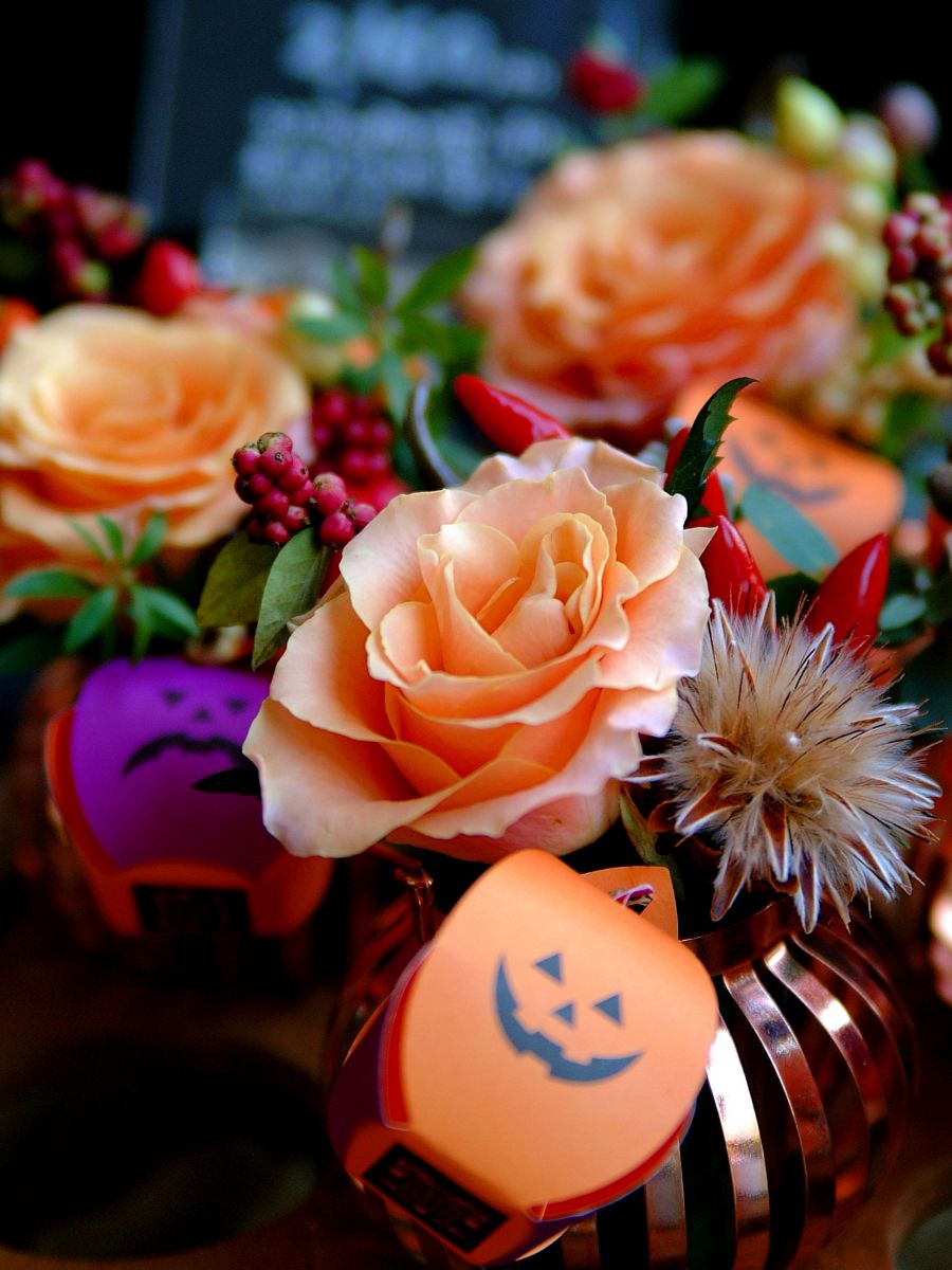 Flower Shop 08 | GANREF