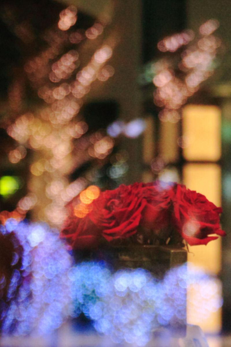 Night Rose★ | GANREF