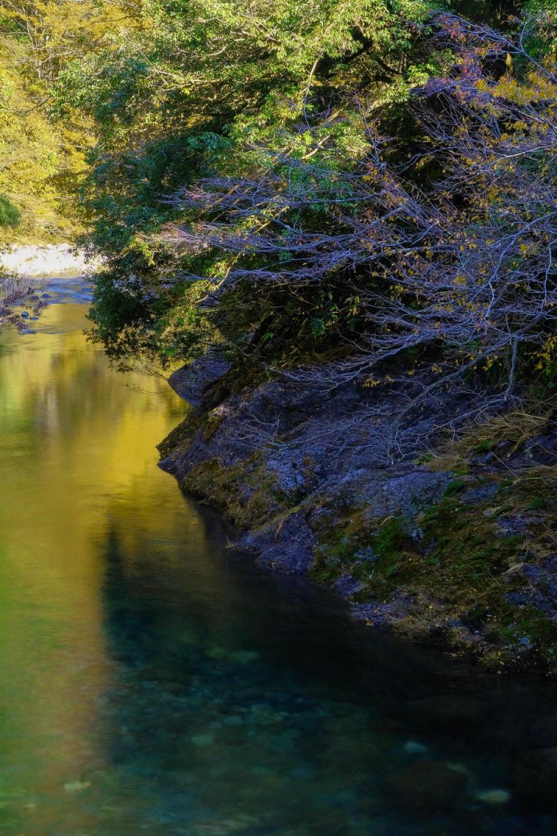 秋リフレクション | GANREF