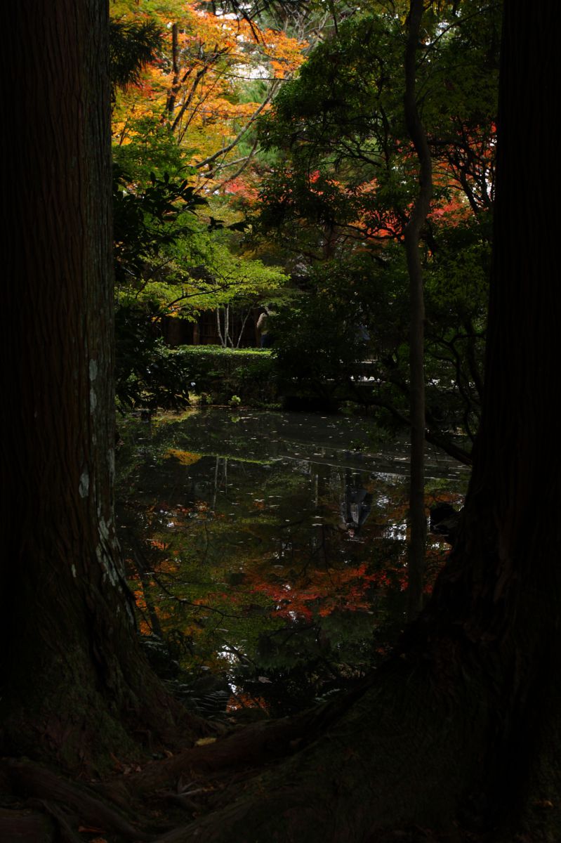 垣間見（かいまみ） | GANREF