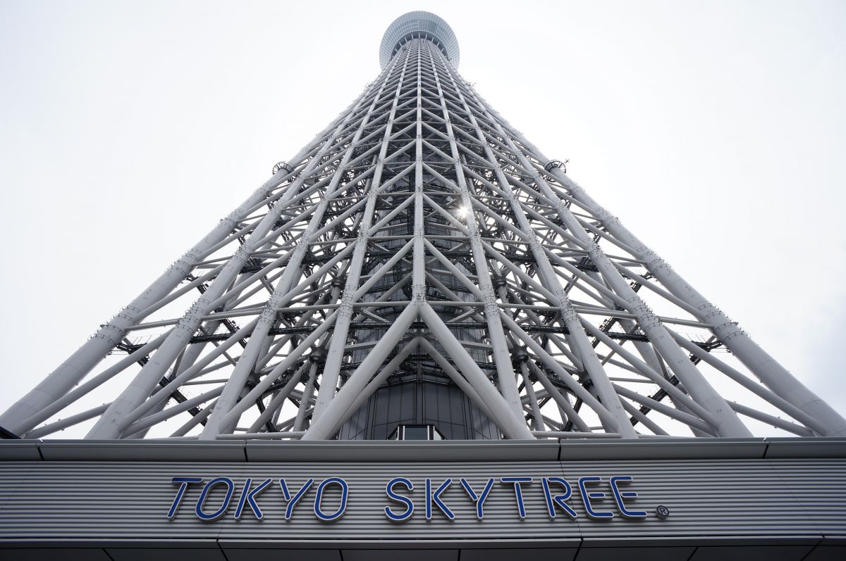 BIG MONSTER | GANREF