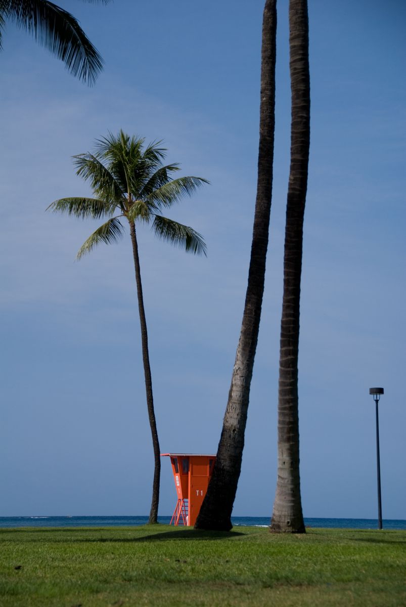 summer time! | GANREF