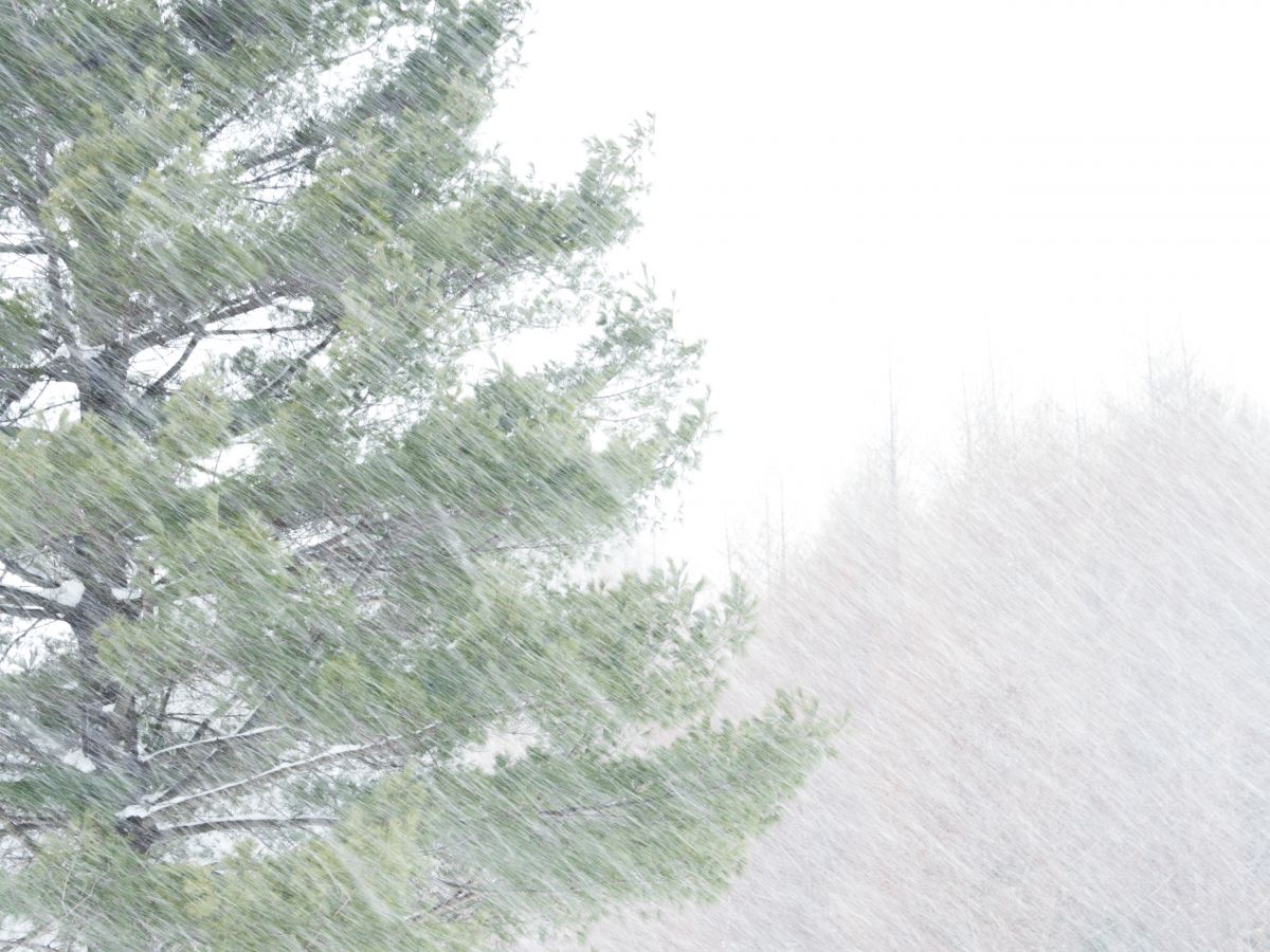 Snow Pencil | GANREF