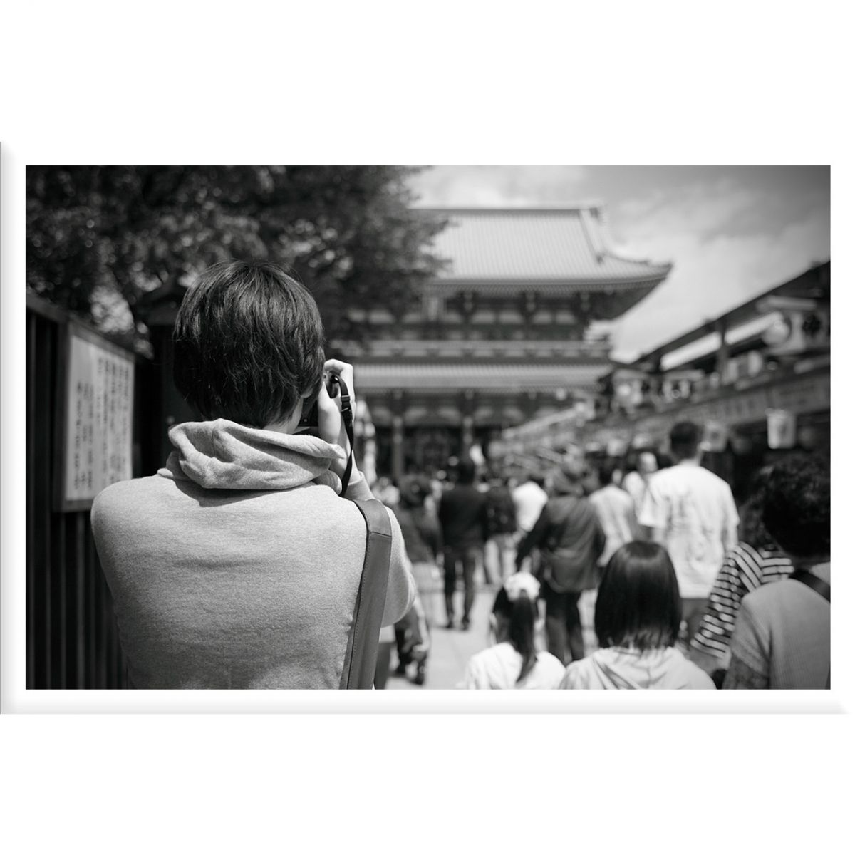 snap in snap | GANREF