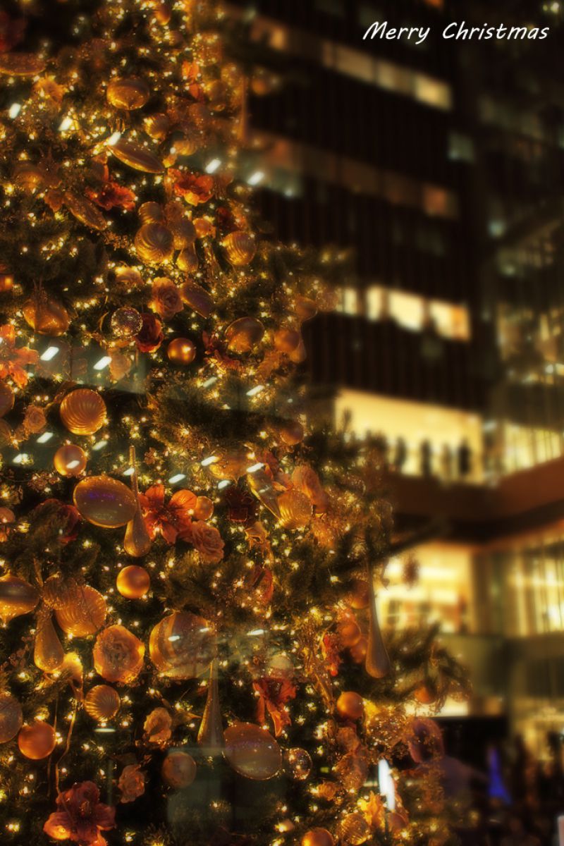 Merry Christmas | GANREF