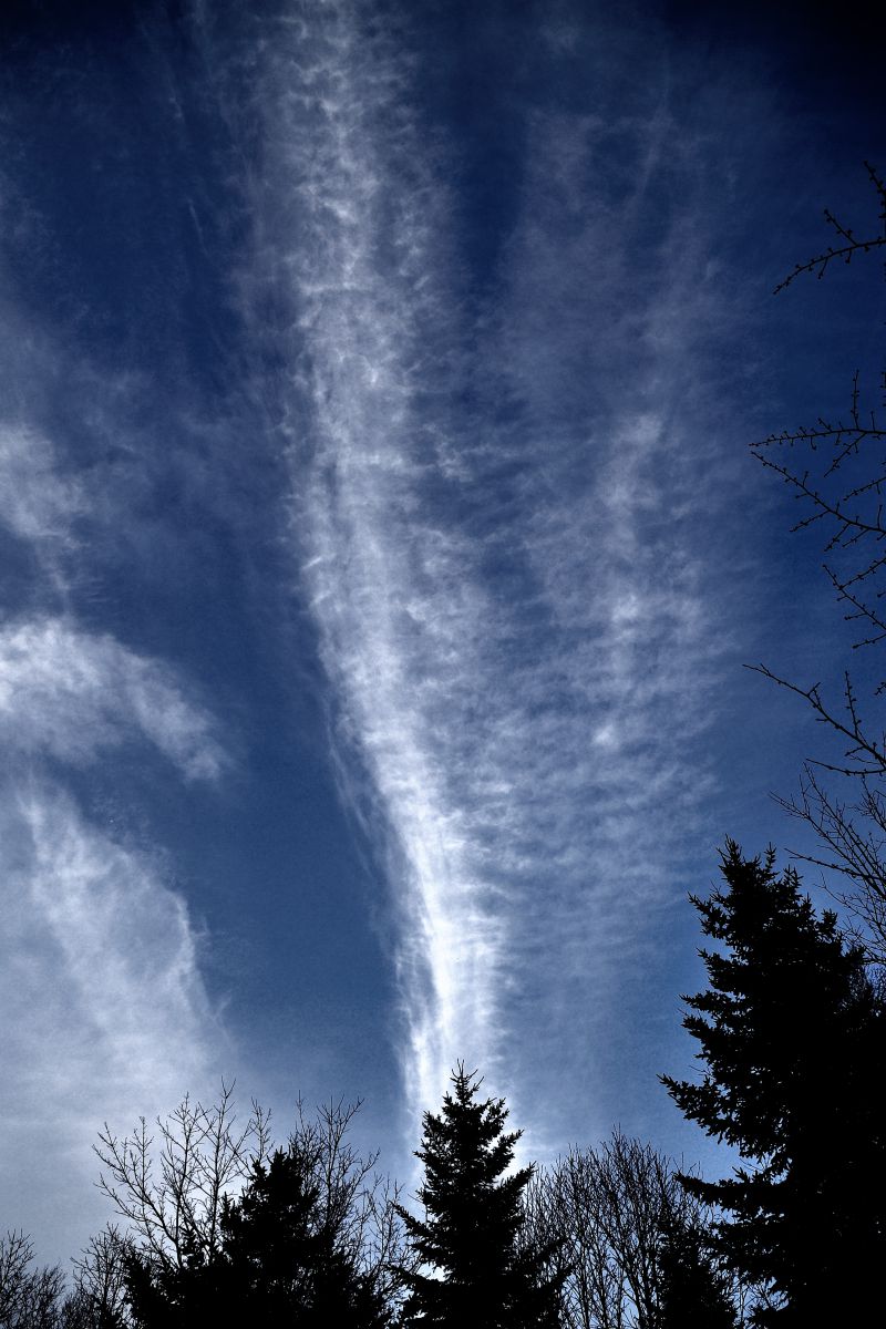 A rising dragon | GANREF