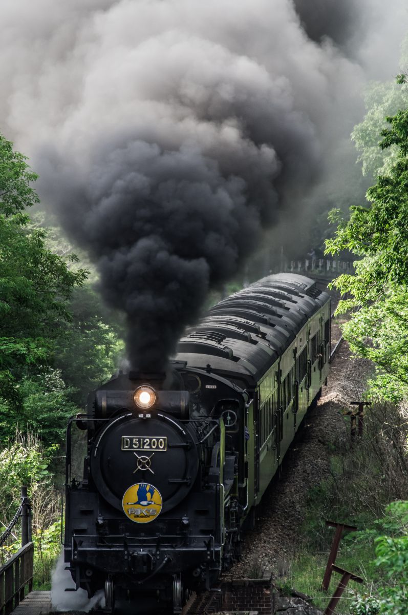 やまぐち号D51 篠目を登る！ | GANREF