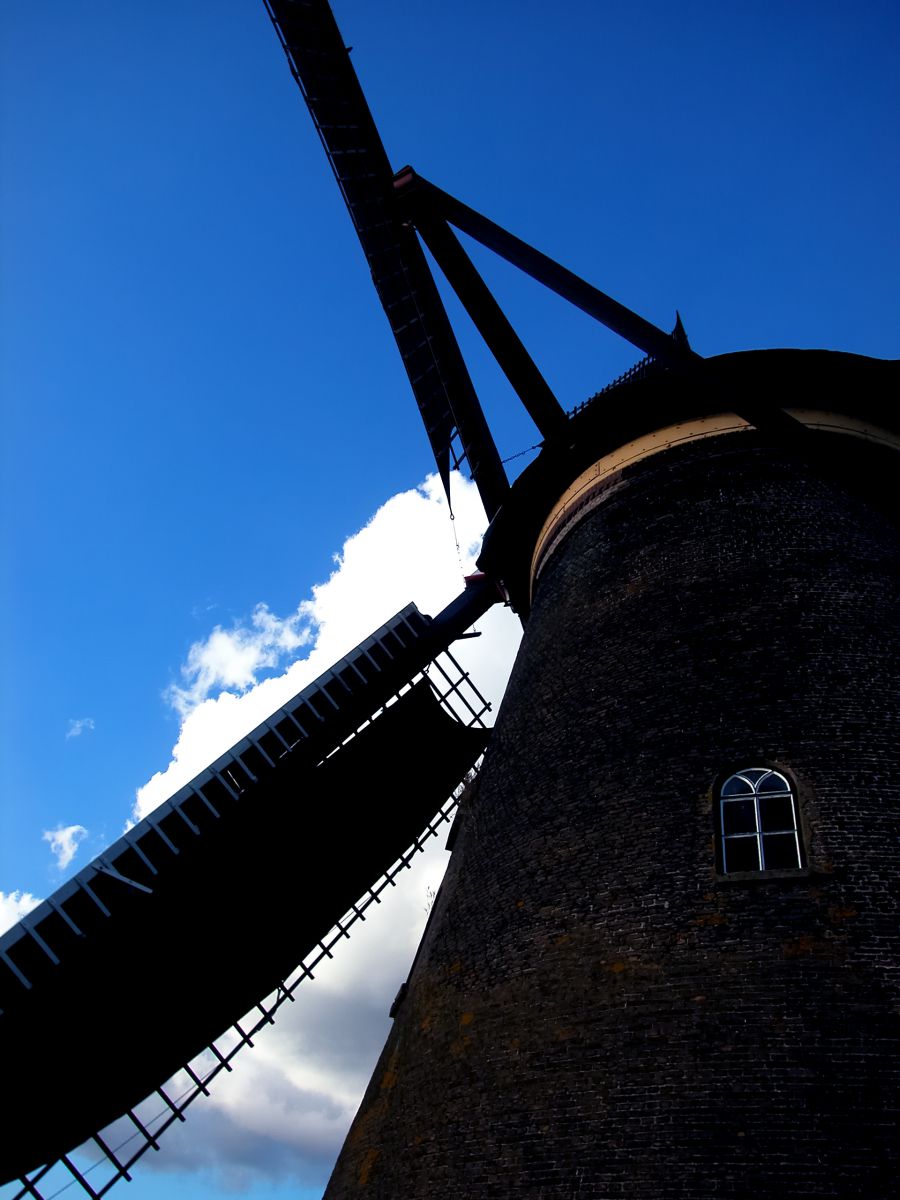 Window×Windmill | GANREF