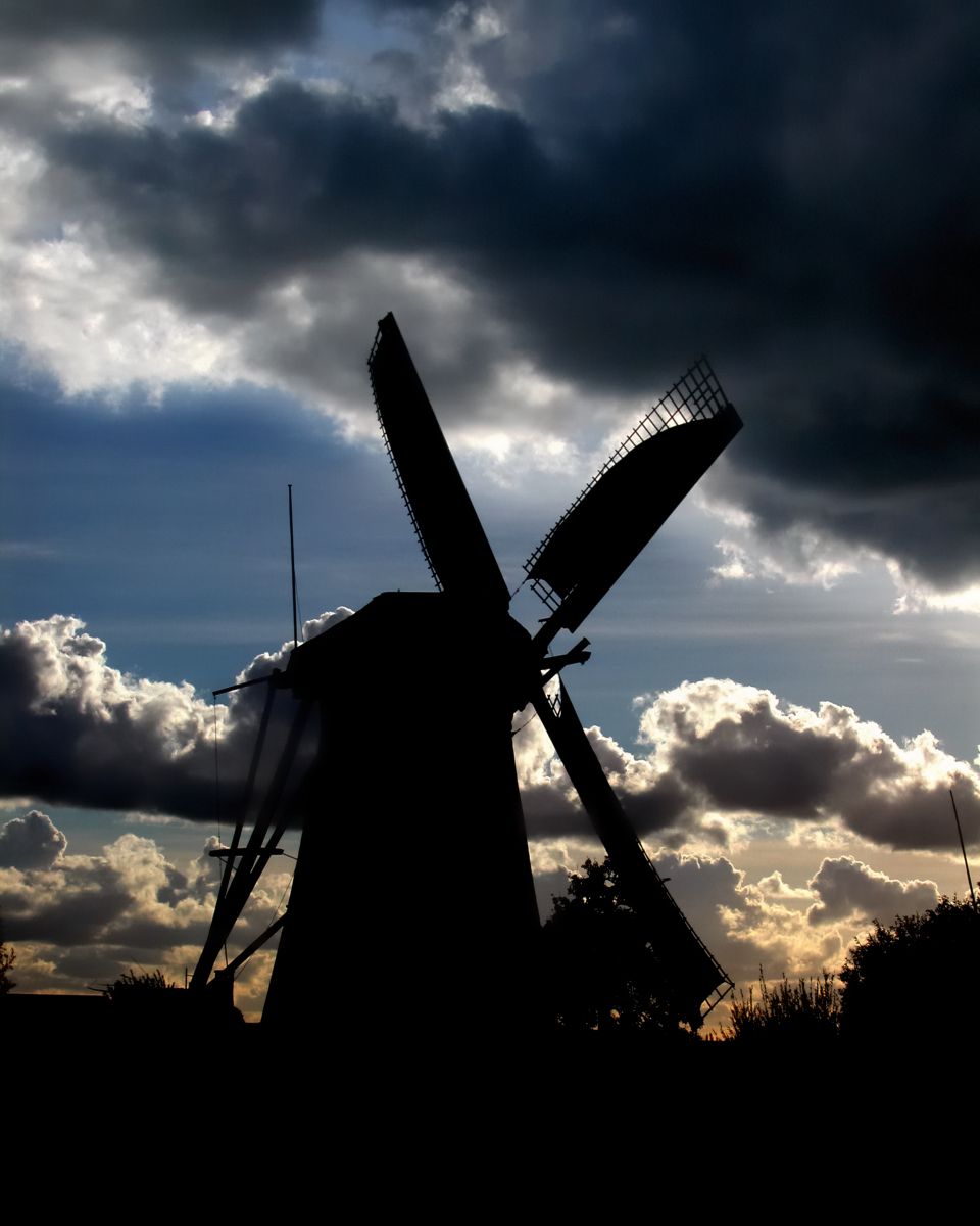 Silhouette×Windmill | GANREF