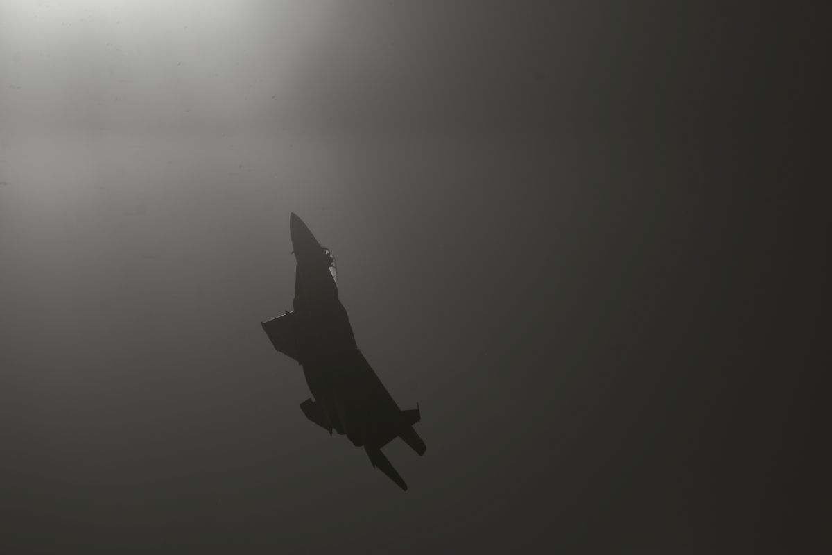 Eagle Shadow | GANREF