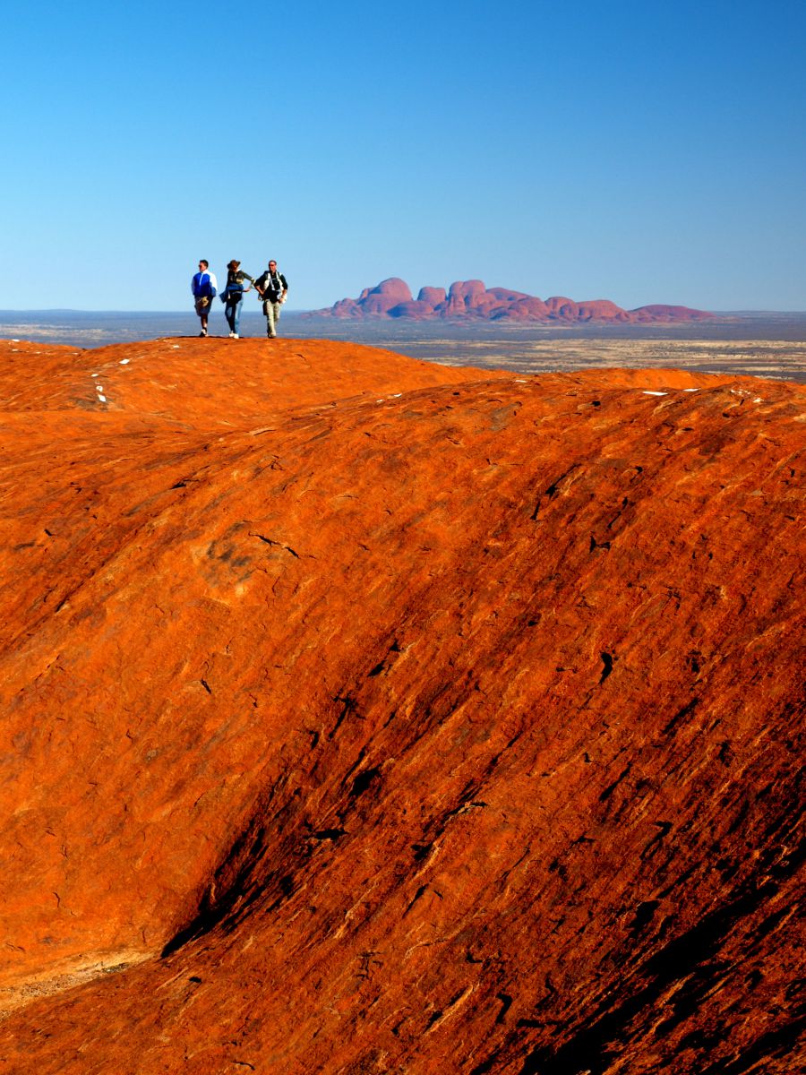 like an another planet | GANREF