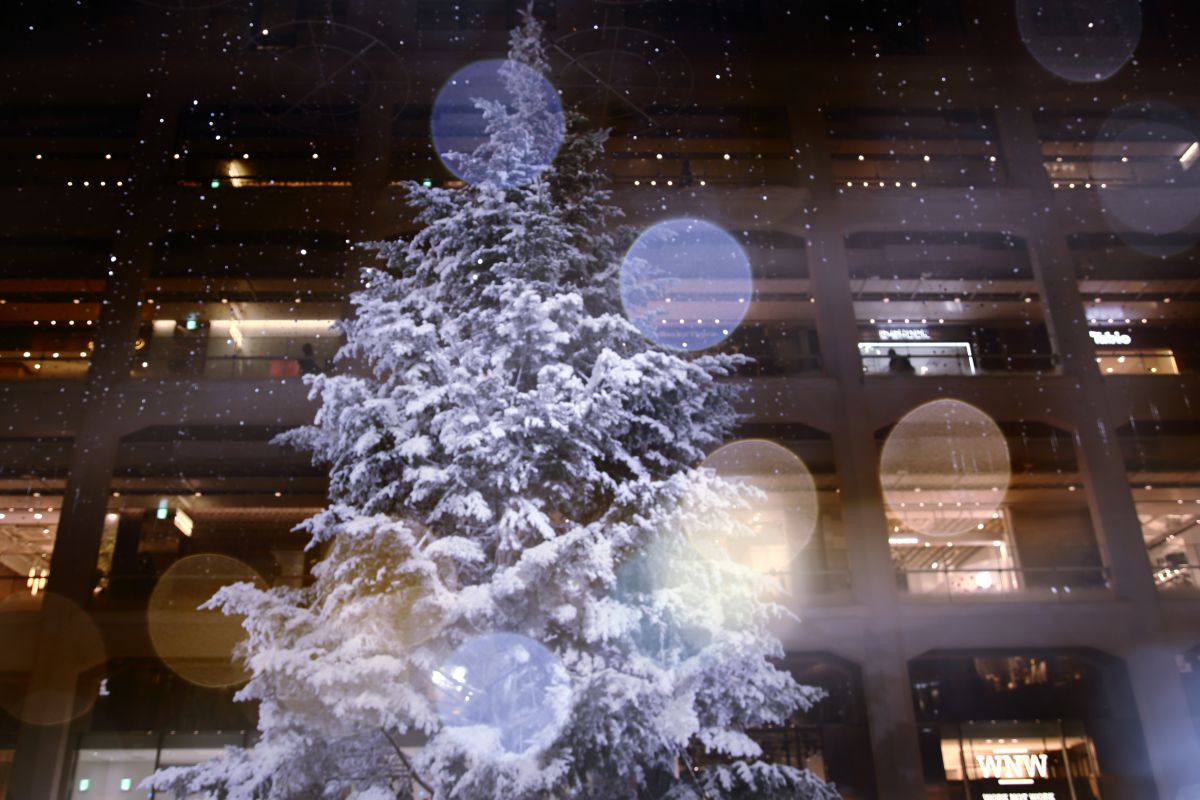 White X'max | GANREF