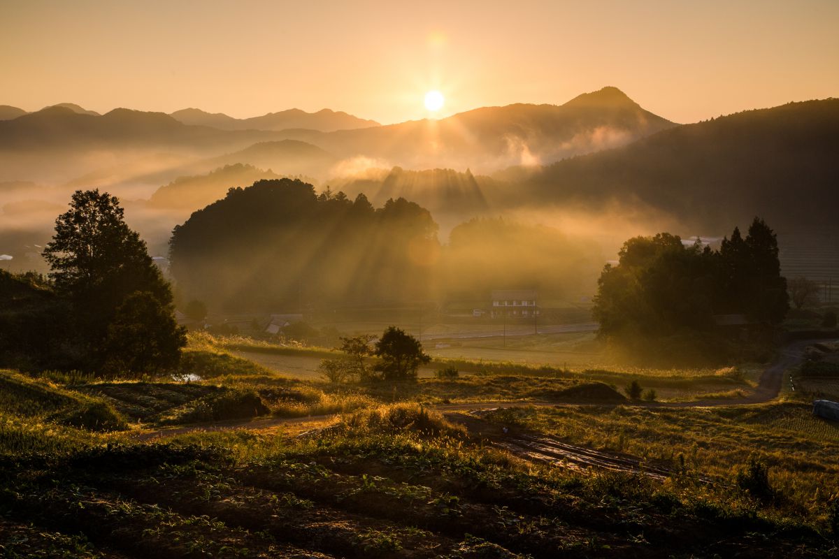 里山に光射す | GANREF