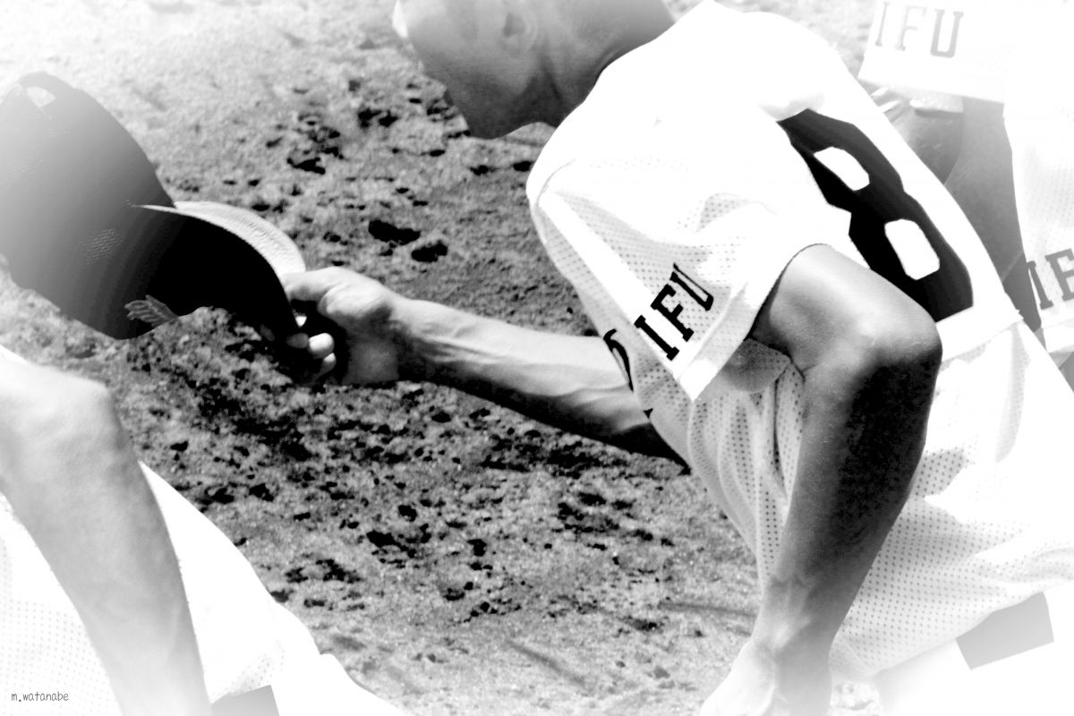 最後の夏へ | GANREF