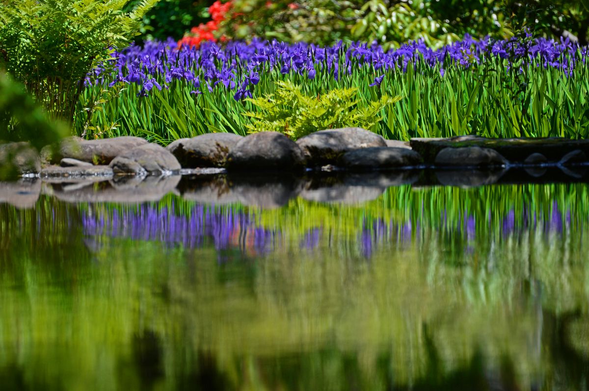 folding screen | GANREF