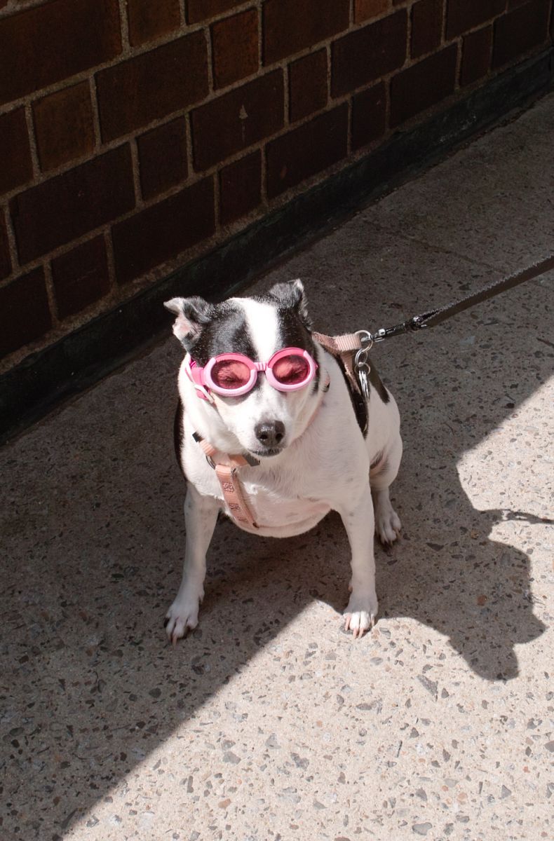 お気に入り | GANREF