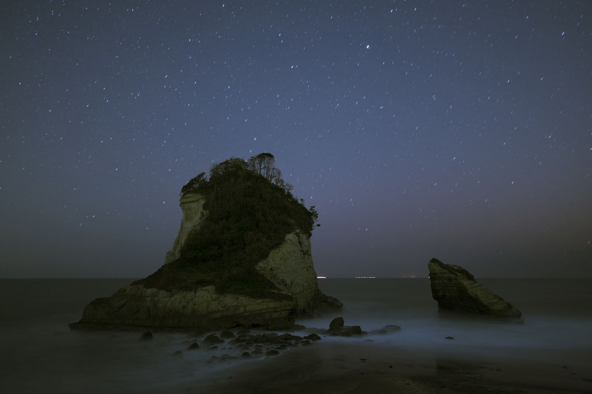 First light | GANREF