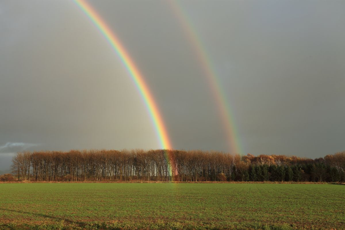 Two rainbows | GANREF