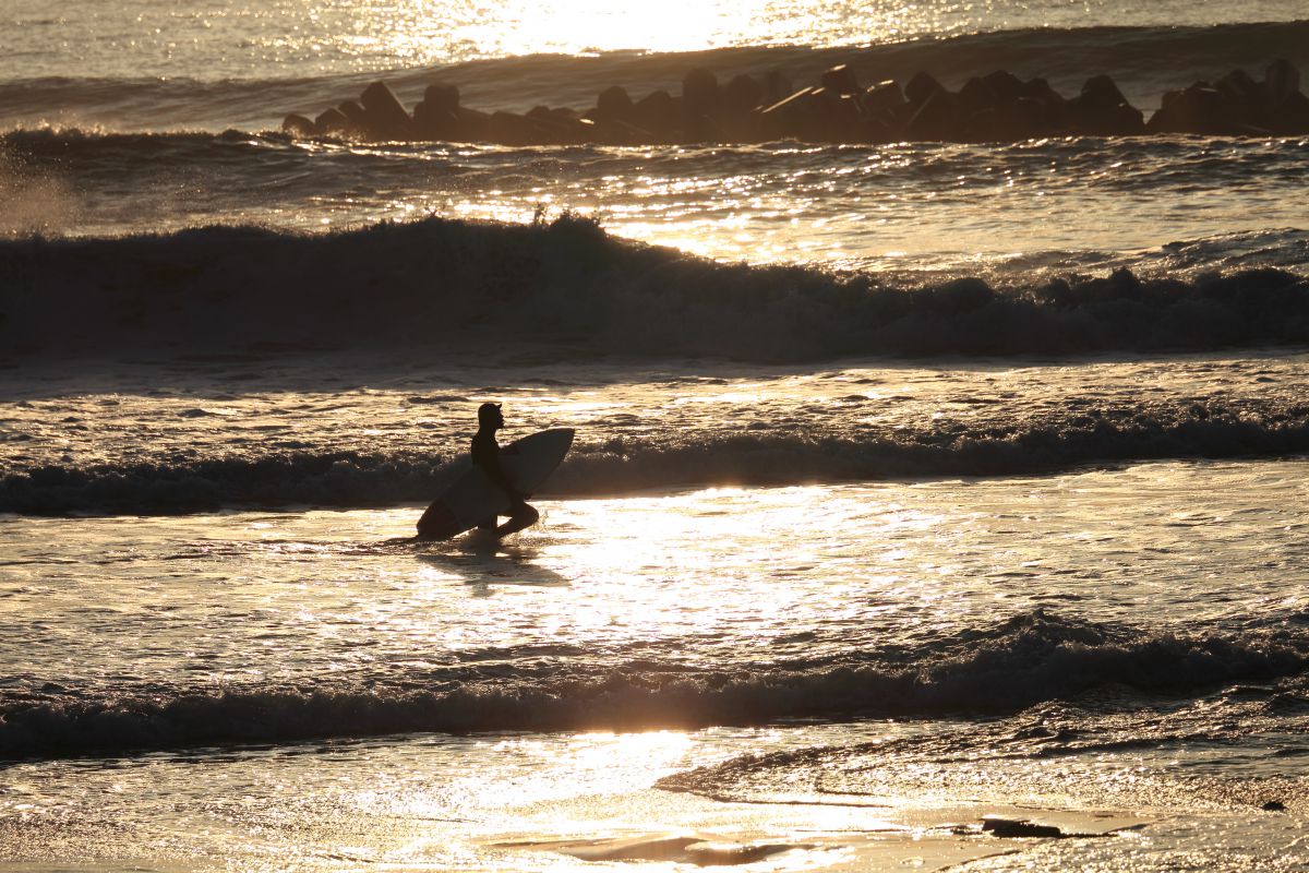 Local surfer | GANREF