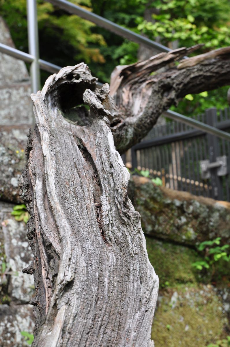 鎌倉_072.JPG | GANREF