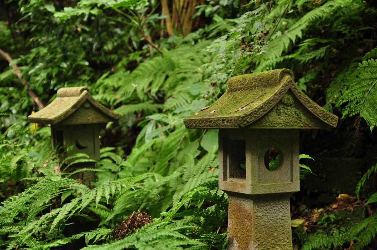 鎌倉_157.JPG | GANREF