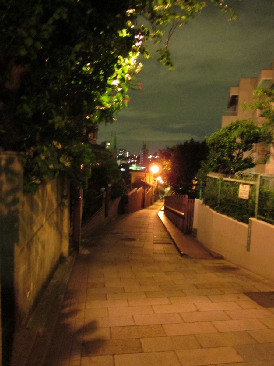 0808_061.JPG | GANREF