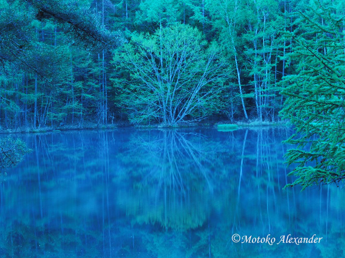 mishakaike 002.jpg | GANREF