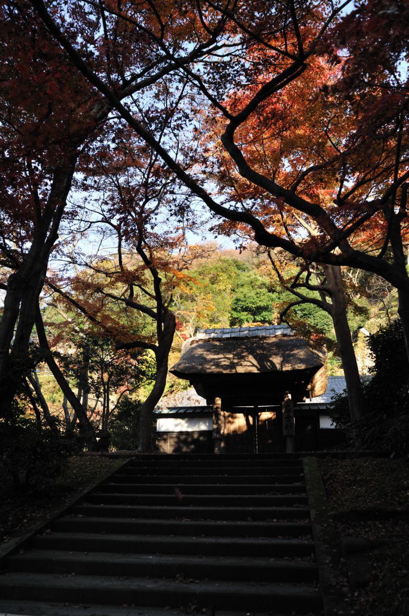 DSC_6665.JPG | GANREF