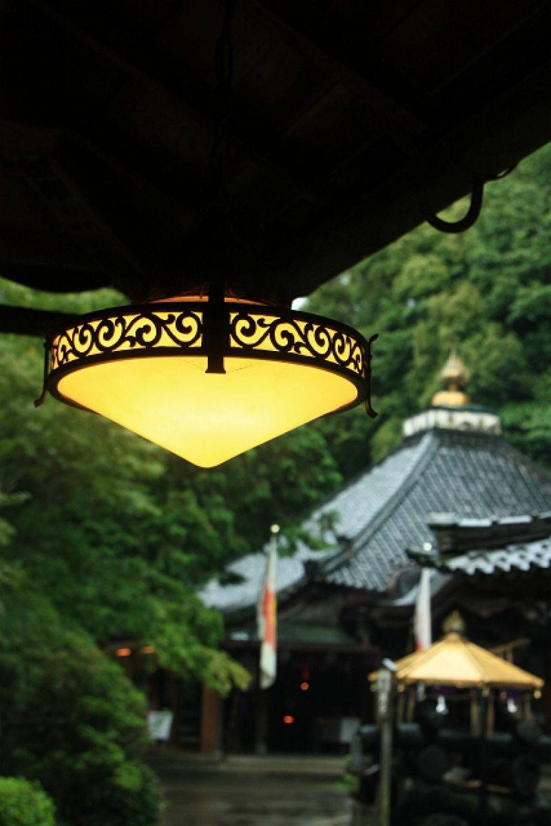 800段登って | GANREF