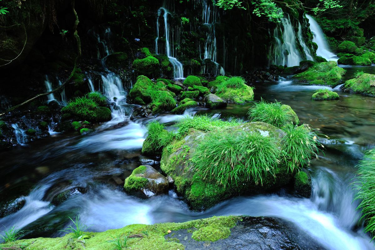 清き水の里 | GANREF