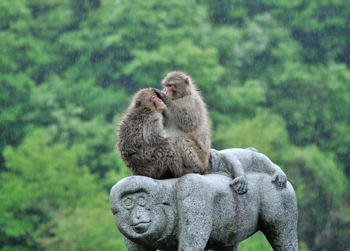 二人（2匹）の世界！ | GANREF