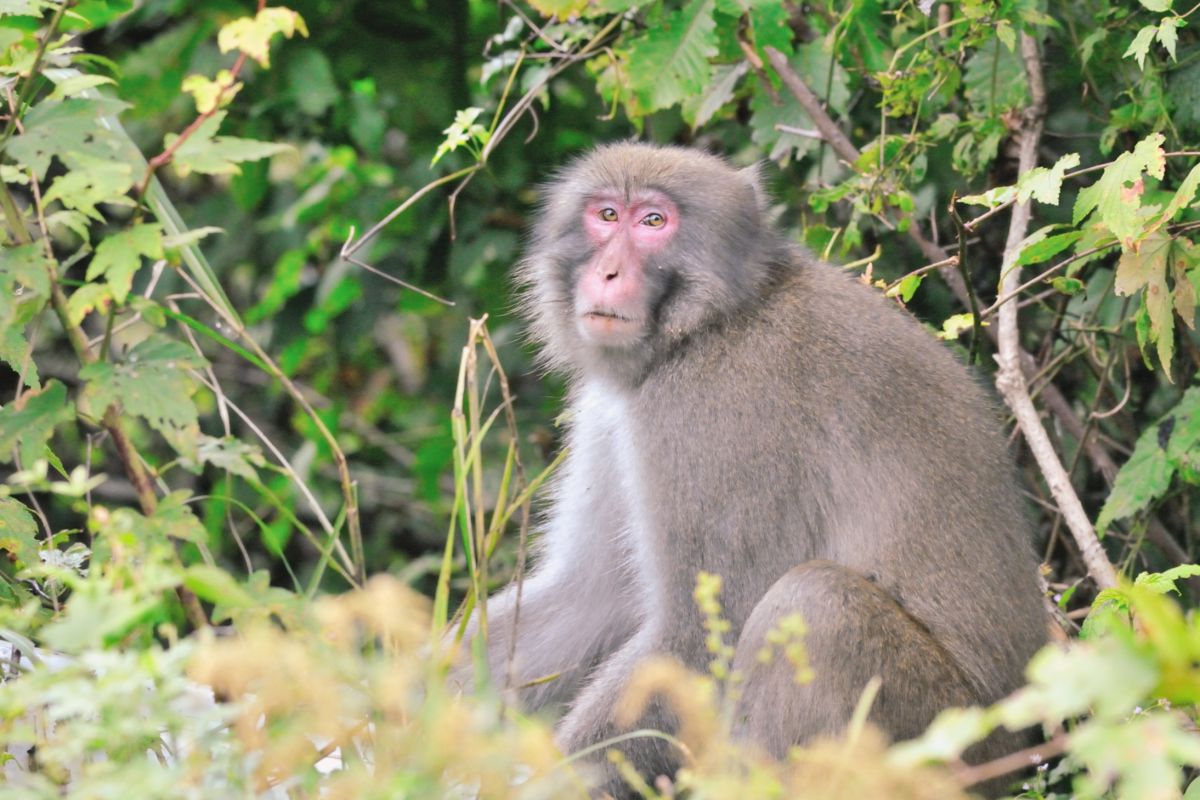 もう秋かぁ～ | GANREF