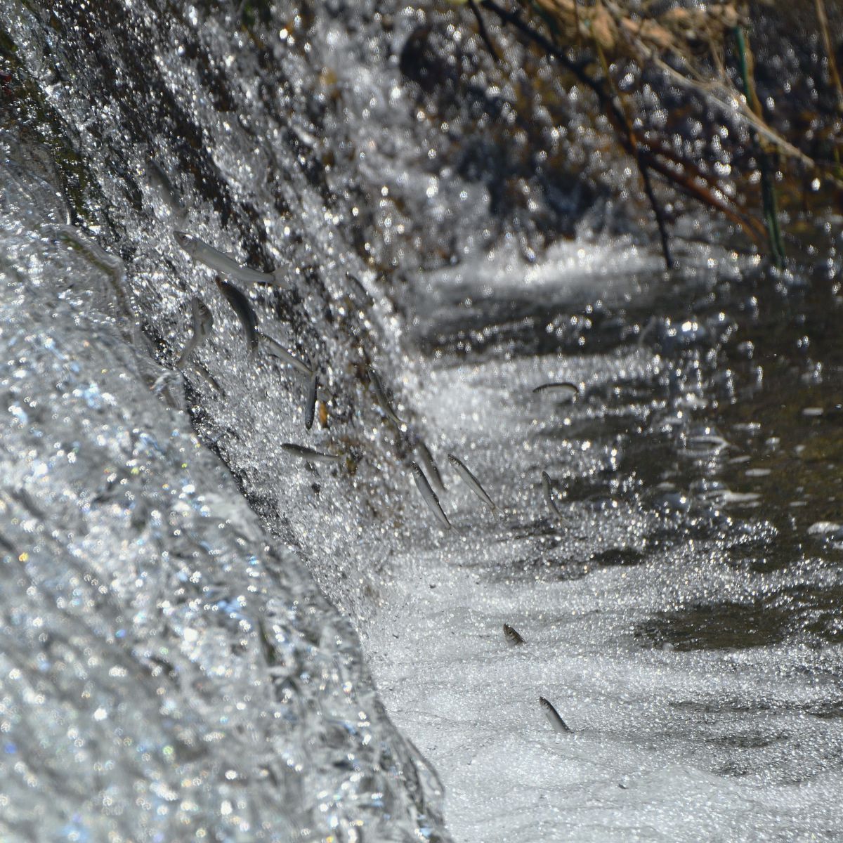 みんな元気 ! | GANREF