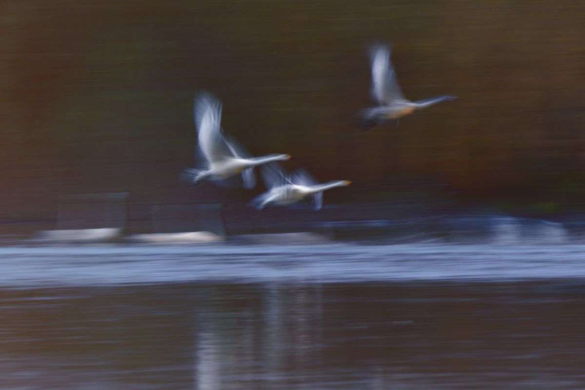 お先に～ | GANREF