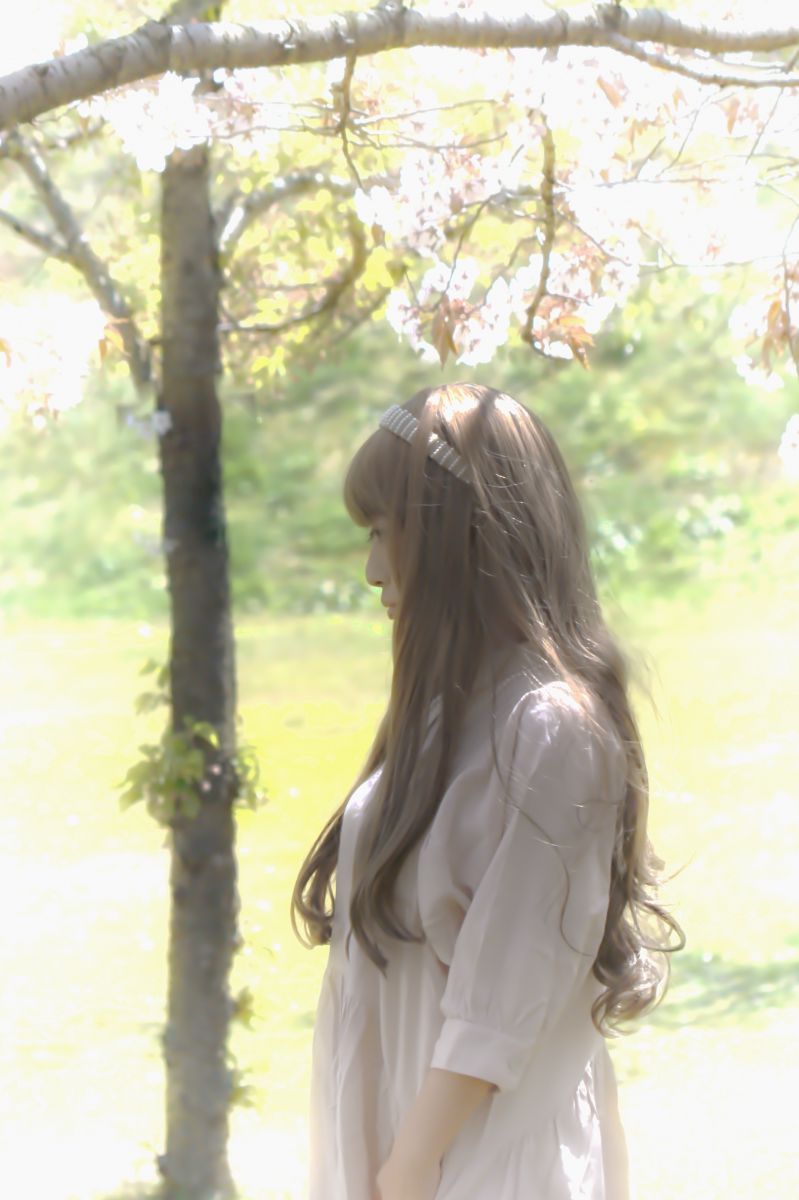 さくら咲いて | GANREF