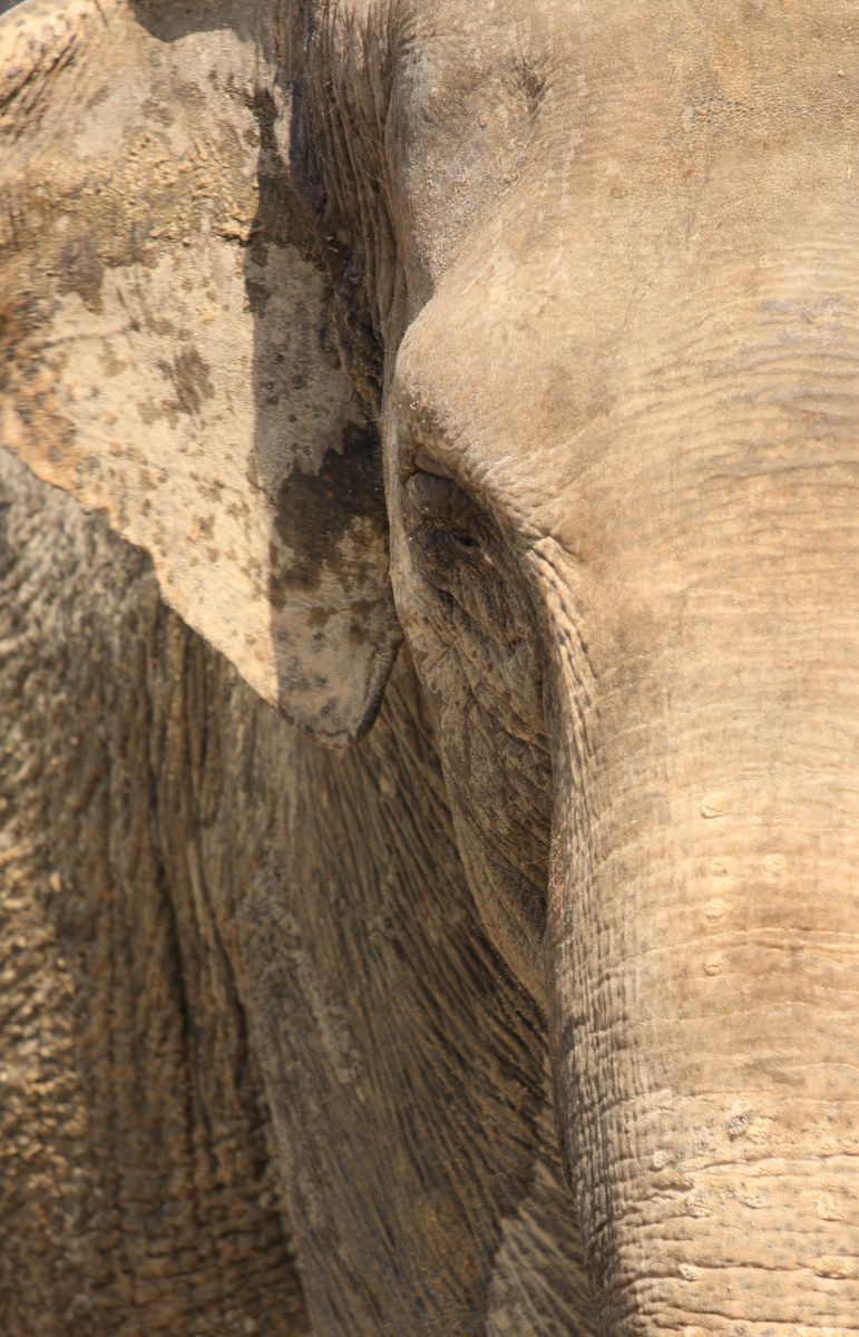 何を思う | GANREF