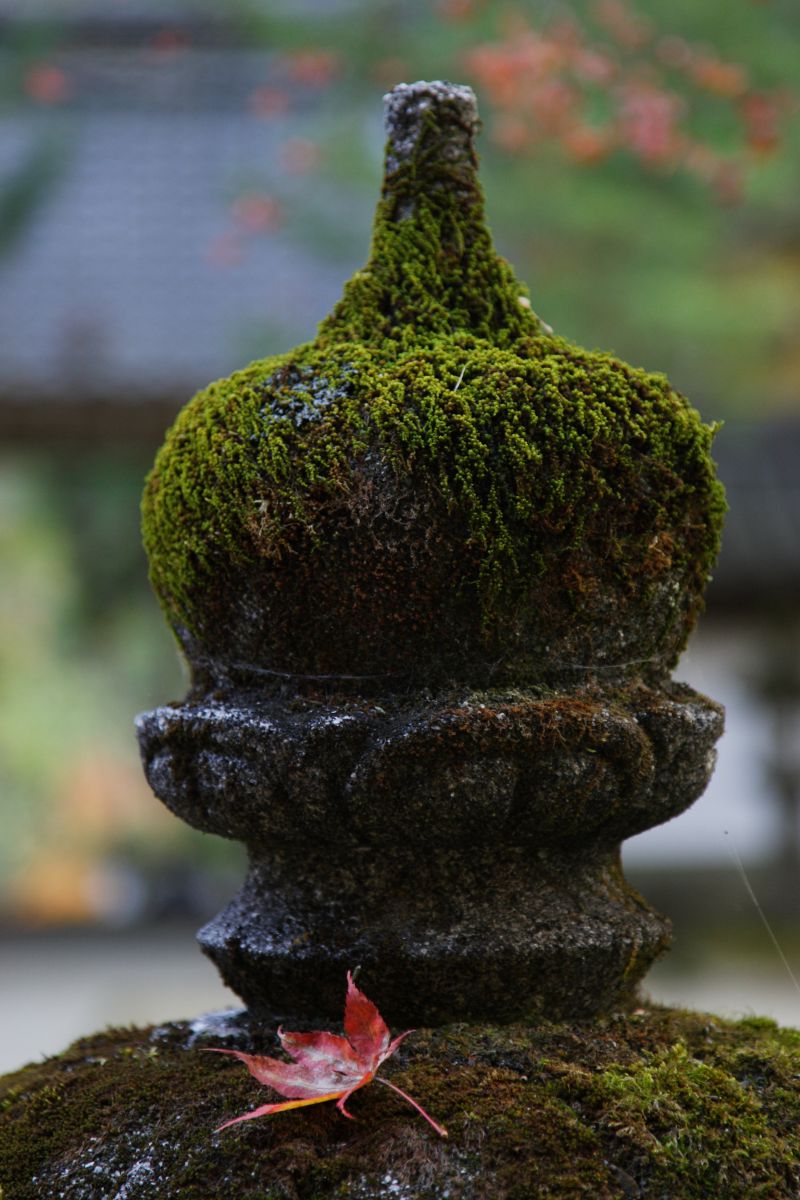 灯篭と落葉 | GANREF