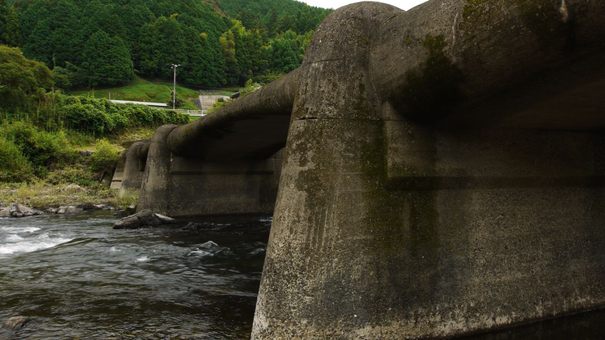 P1010444.JPG | GANREF