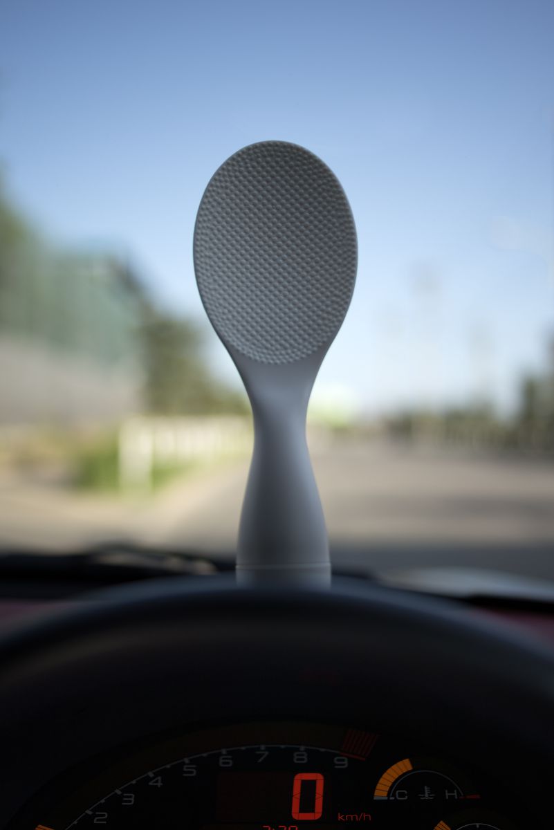 rice paddle 05 | GANREF