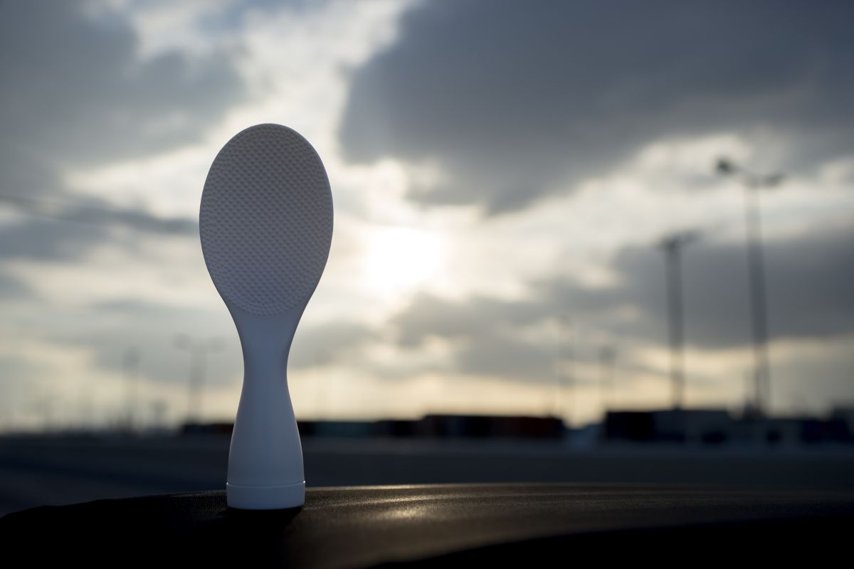 rice paddle 01 | GANREF