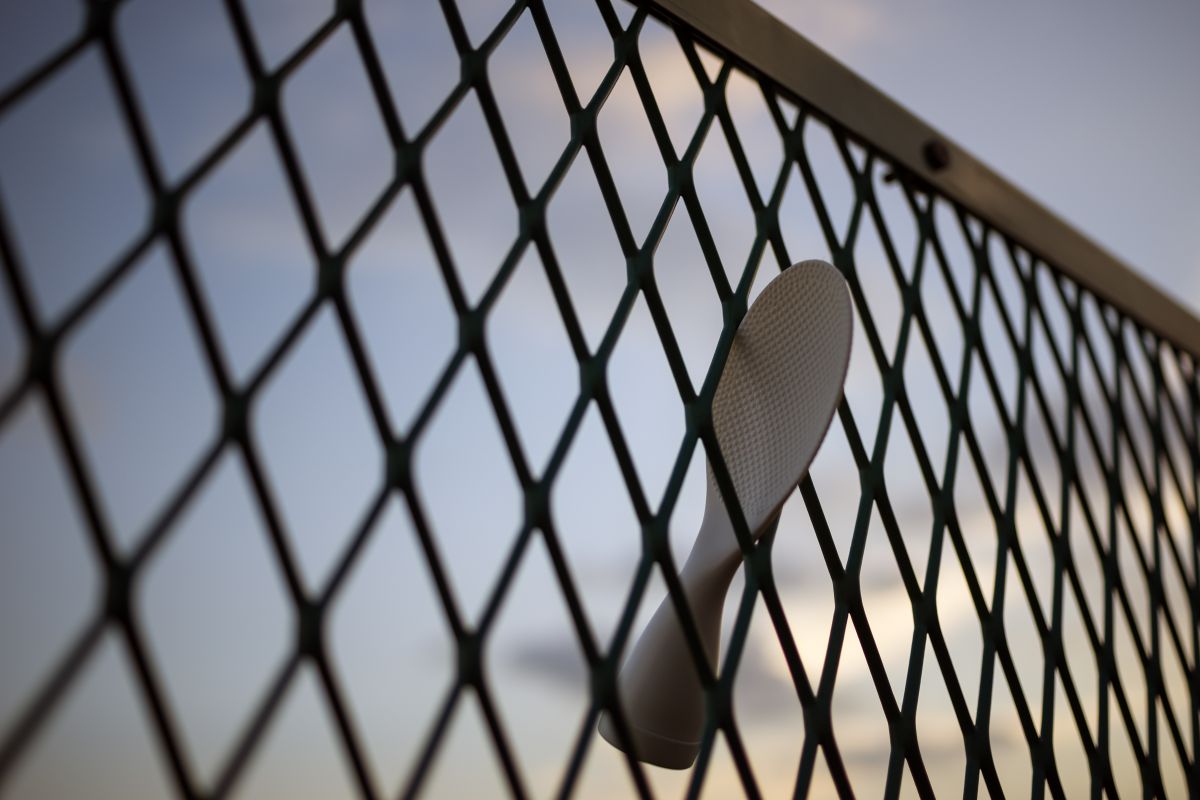 rice paddle 03 | GANREF